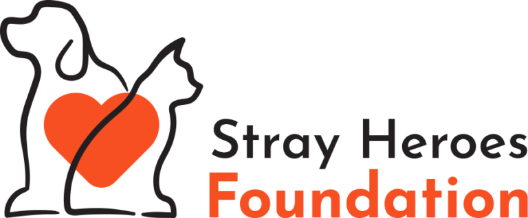 The Stray Project